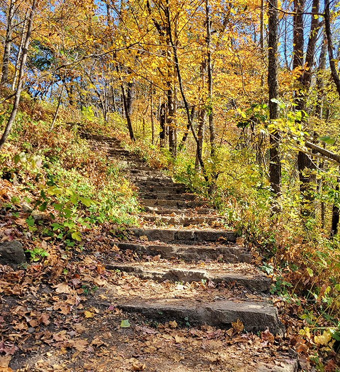 Autumn's golden staircase&mdash;where each step crunches with satisfying percussion and every breath fills your lungs with the perfume of fall.