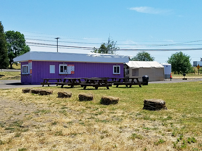 A purple oasis of BBQ goodness with picnic table seating. The hay bales aren't just decoration &ndash; they're a nod to Oregon's agricultural roots.