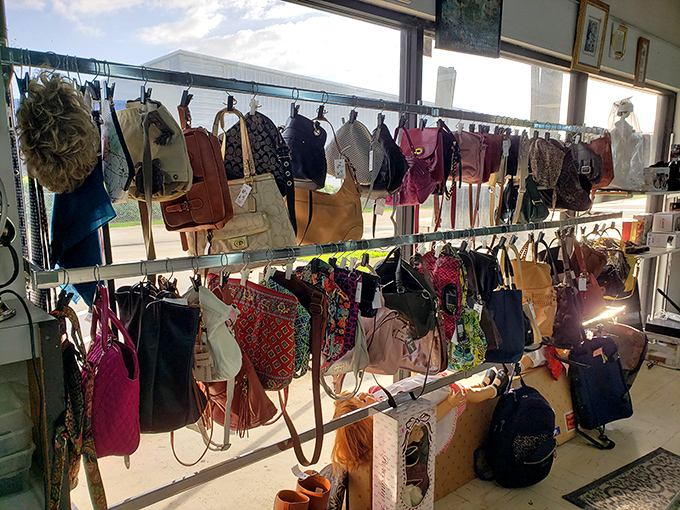 Handbags hanging like exotic fruit, each one a previous owner's faithful companion now seeking new adventures.