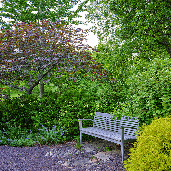 The perfect bench doesn't exi&mdash;wait, there it is, nestled among purple foliage like it's been waiting for you all along.