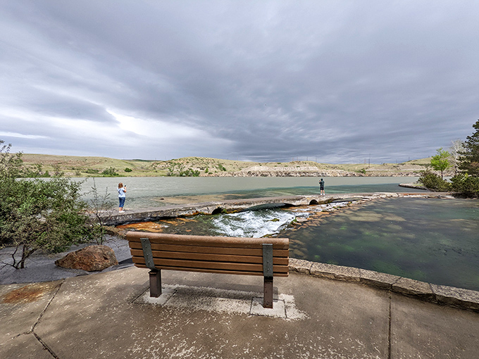 Front-row seating to nature's greatest show. This bench offers the perfect vantage point for contemplating the springs' eternal journey.