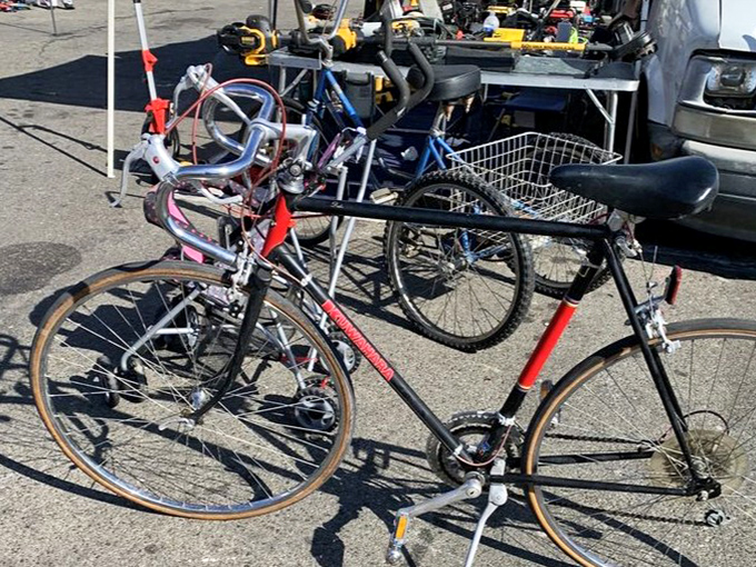 Two-wheeled treasures lined up like mechanical wallflowers, waiting for someone to take them for a spin around the neighborhood.