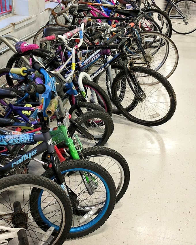 Bicycles lined up like a Tour de France starting line, offering wheels for every age without the premium price tag attached.