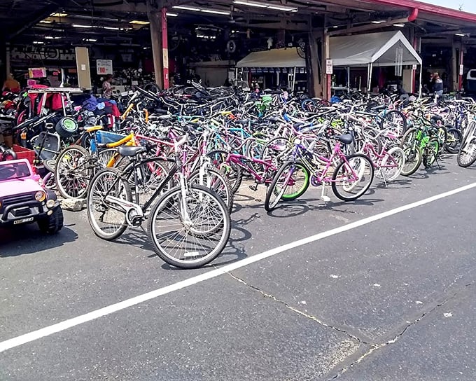 Bicycle battalion standing at attention! From pink princess models to vintage cruisers, these wheels await their next adventure.