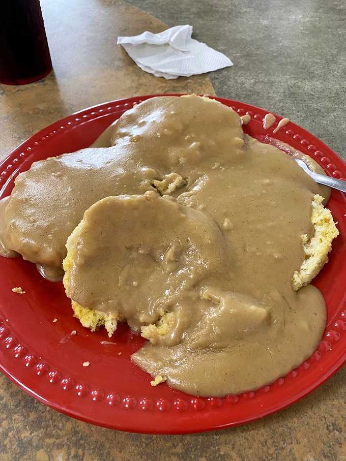 Biscuits and gravy &ndash; the breakfast that hugs you from the inside. That gravy flows like a warm, peppery lava across the landscape of fluffy biscuits.