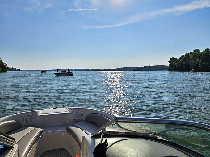 Lake life from the best seat in the house. The sparkling water trail behind boats is nature's equivalent of a Hollywood red carpet entrance. 