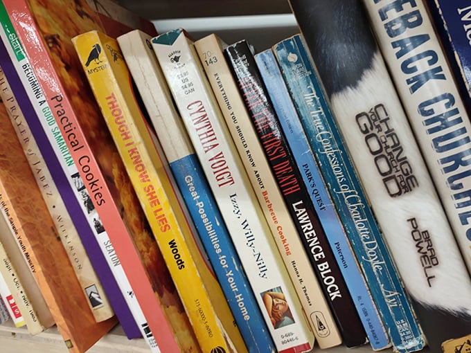 Books stacked like literary gold mines, where knowledge costs pennies and entertainment comes by the pound. 