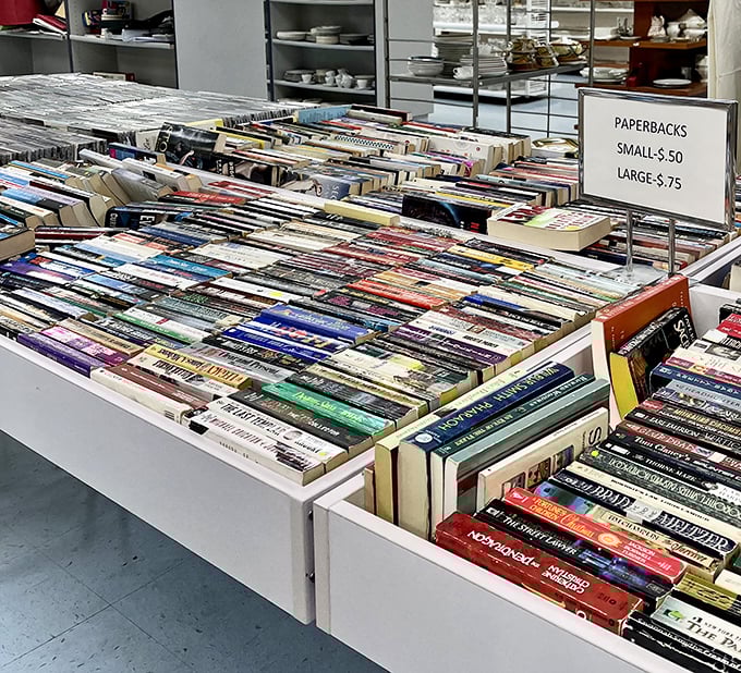 Book bonanza! From bestsellers to forgotten classics, these pages hold adventures that cost less than a streaming subscription.