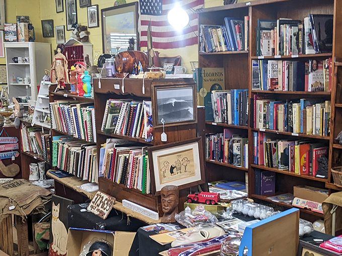 Book nook nirvana where literary treasures hide between vintage knickknacks. The kind of place where time disappears faster than your retirement savings.