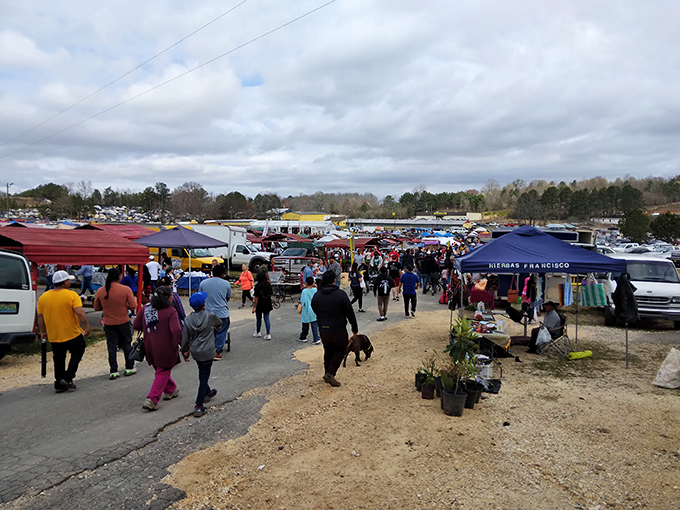 Vendors line the pathways at golden hour, their displays catching the last light of another successful market day.