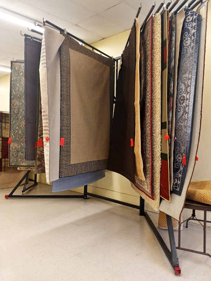 The rug display fans out like pages of a design magazine, offering instant room transformations without designer consultation fees.