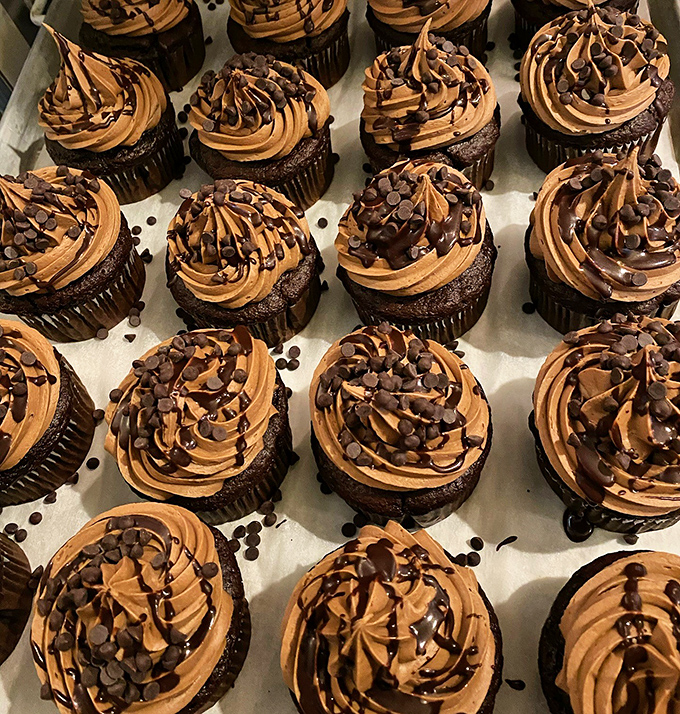 Chocolate cupcakes with precision-piped frosting &ndash; where engineering meets art meets your immediate sugar cravings.