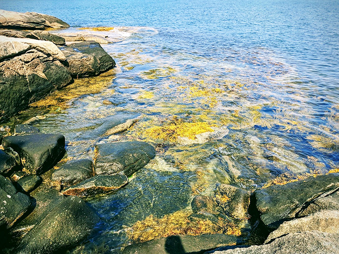 Crystal clear waters reveal a kaleidoscope of seaweed gardens &ndash; nature's stained glass window beneath the surface.