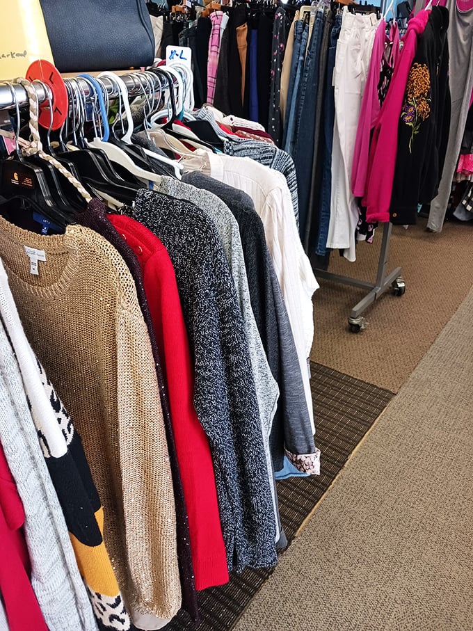 Sweater weather is better weather when you're paying thrift store prices for name-brand knits that look like they've never been worn.