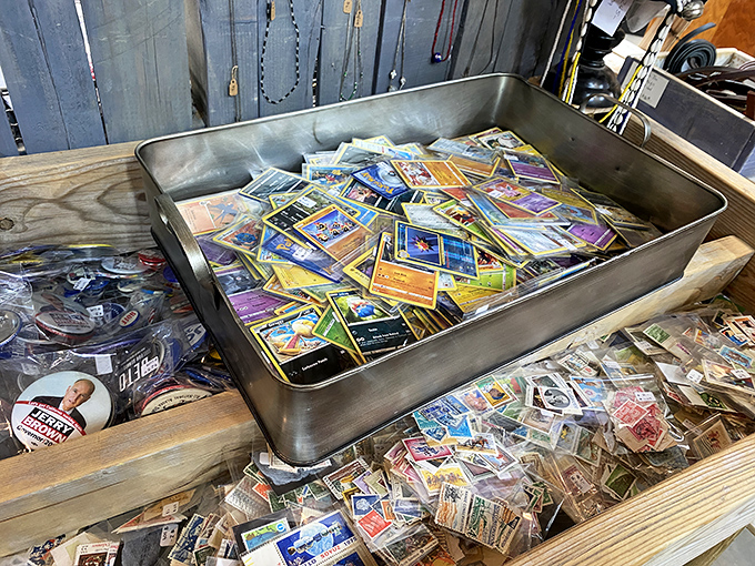 Pok&eacute;mon cards before they were cool again! This tray of collectible nostalgia proves that sometimes the best investments come in small, colorful packages.