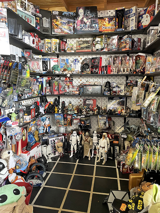 Star Wars collecting: where grown adults can proudly display their childhood obsessions and call it "investing." This galactic treasure trove would make even Jabba the Hutt jealous.