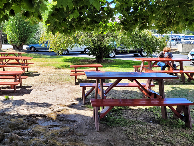 Nature provides the ambiance, PICK-QUICK provides the sustenance. These picnic tables have hosted more happy memories than most five-star restaurants. 