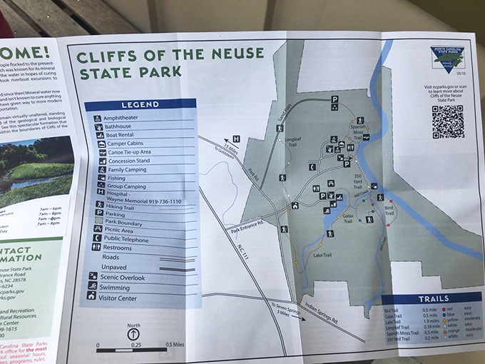 The park map reveals 892 acres of possibilities, more options than a diner menu but with better health benefits.