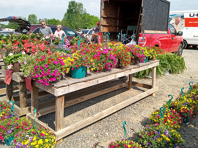 Spring erupts in a riot of petals and possibilities—portable gardens waiting to transform your porch into the envy of the neighborhood.