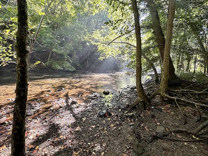 The river doesn't just flow—it tells stories in ripples and reflections that have been perfecting their delivery for millennia.