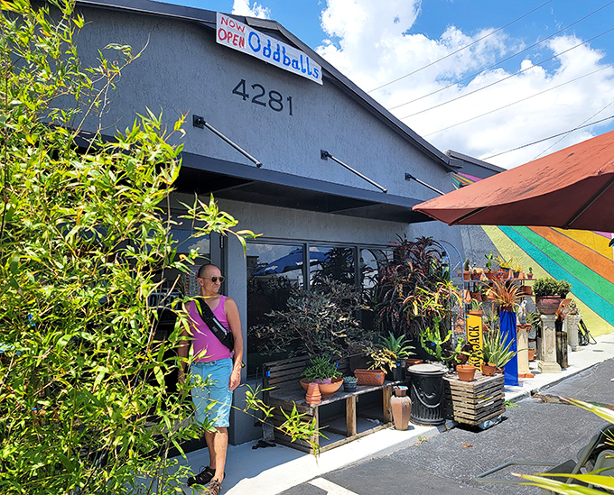 The exterior promises interesting finds, and those palm trees remind you this is Florida thrifting at its finest.