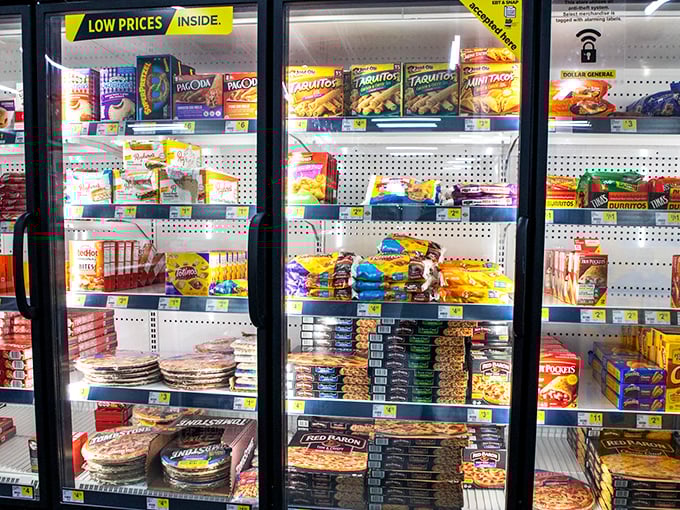 Frozen food nirvana behind glass doors—quick dinners, pizza, and ice cream await, proving convenience doesn't have to come with a premium price tag.