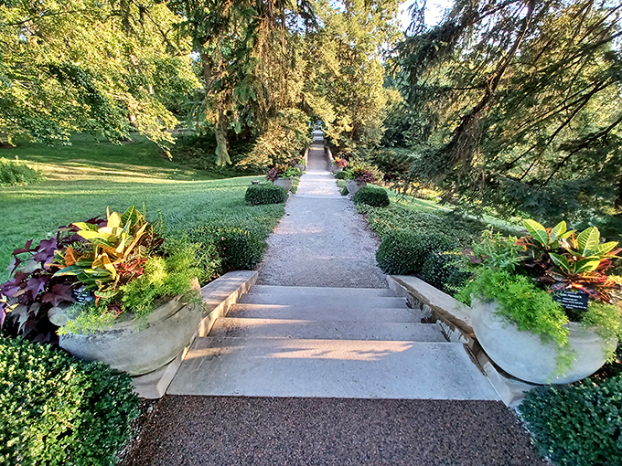 Garden steps that practically beg you to descend dramatically while pretending you're in a period drama, preferably with orchestral music playing in your head.