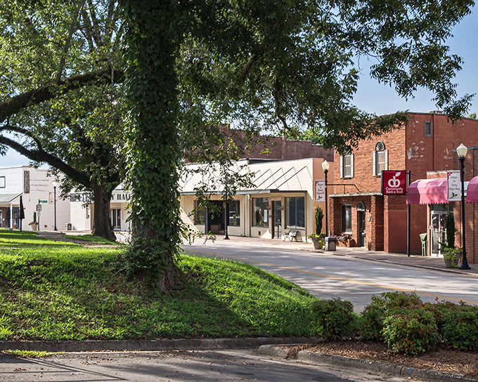 These storefronts have weathered decades of economic ups and downs, yet still stand proud. Hogansville's resilience is built right into its architecture.