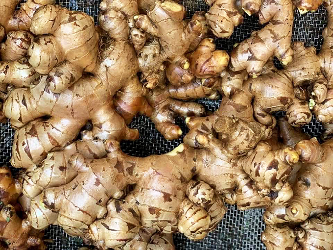 Gnarly ginger root that looks like it could star in a sci-fi film but promises to transform your stir-fry into something transcendent.