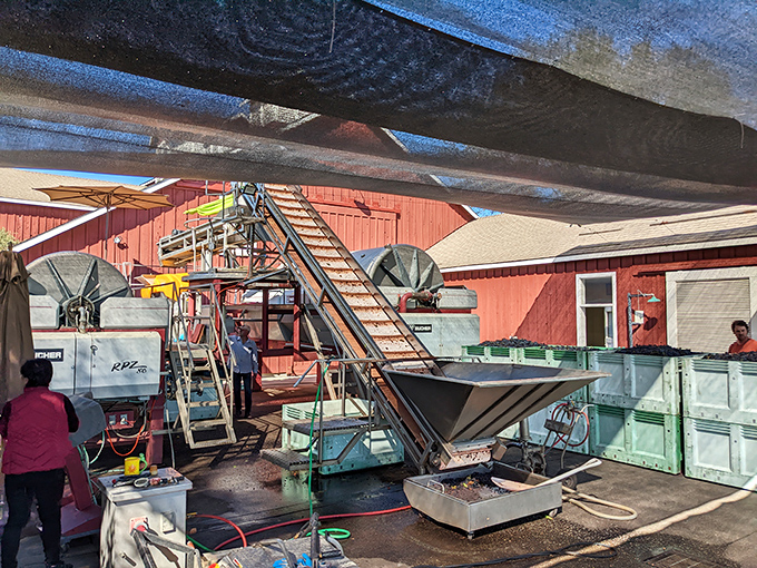 The business end of winemaking isn't always glamorous, but this crush operation transforms fruit into the beginning of something magical.