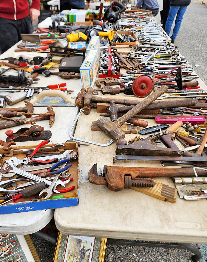 Tool paradise where vintage wrenches and hammers await their second act. Each rust spot tells a story of projects completed long ago. 