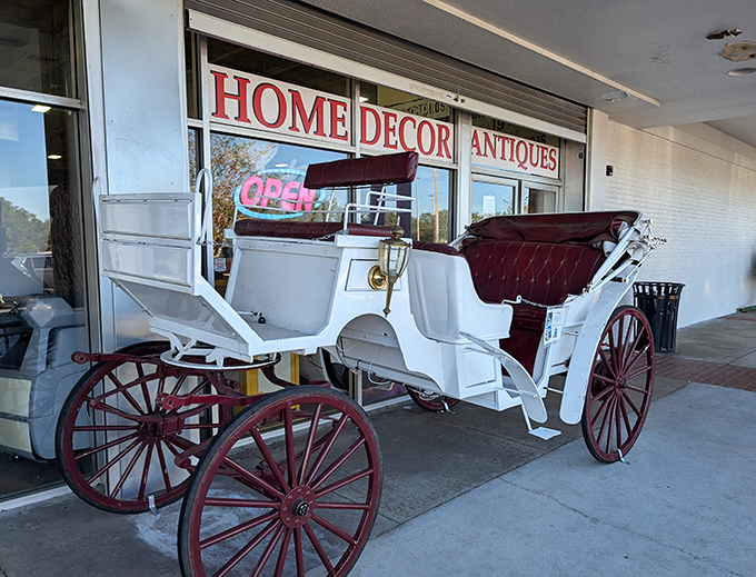 Horse-drawn carriage that makes you wonder if it's an antique or if Cinderella's just parking while she shops for glass slippers.
