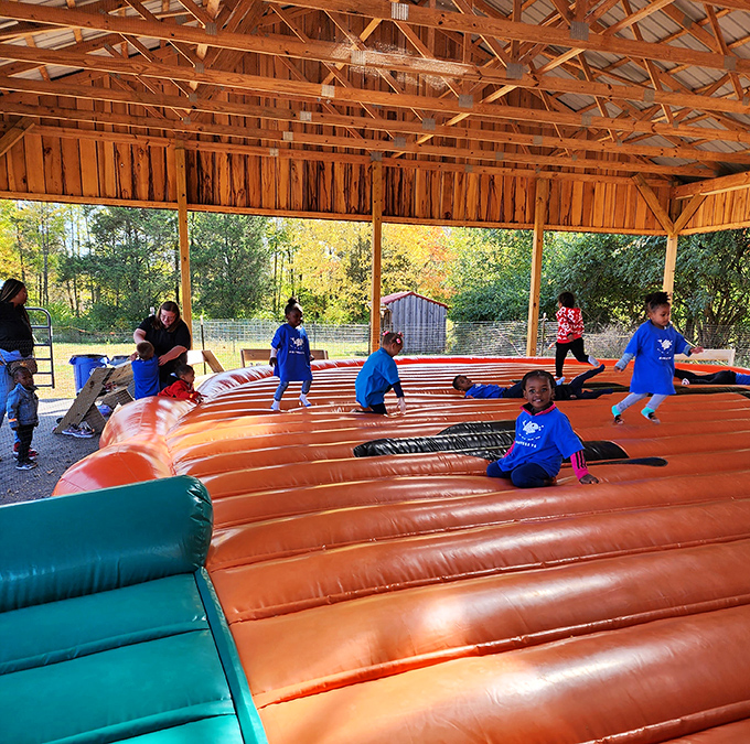The jumping pillow pavilion offers bouncing fun rain or shine&mdash;because who says trampolines need springs?