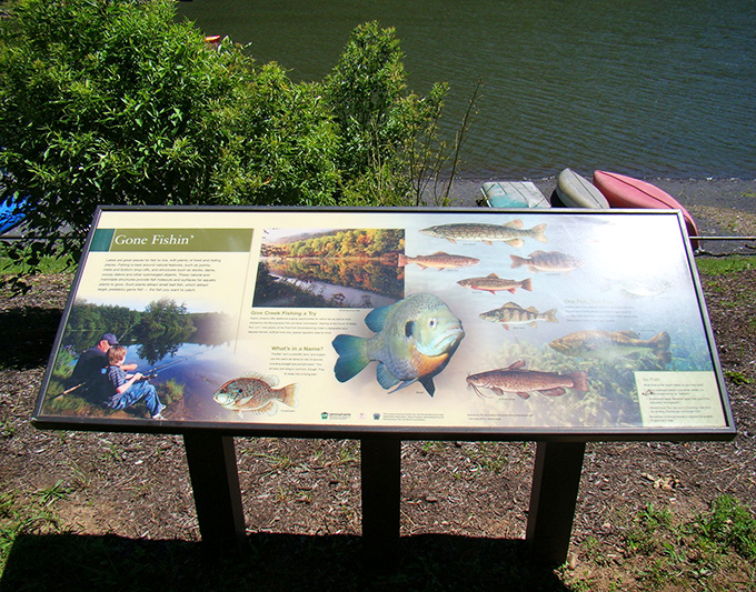 Fish identification that doubles as art—this informative display proves educational materials don't have to be boring to be effective.