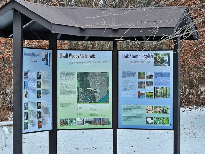 Knowledge is power at these information boards, offering a crash course in forest ecology without the student loans or final exams.
