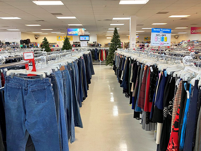 Denim boulevard: Where jeans of every era line up like a fashion time machine.