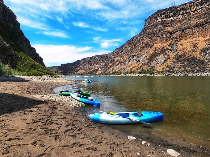 Colorful kayaks waiting their turn for adventure, like eager puppies at the door. The river beckons to those willing to paddle.