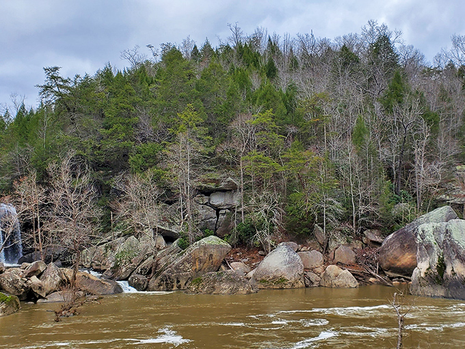 Autumn paints the surrounding forest while the falls continue their timeless performance&mdash;nature's most reliable show has no off-season.