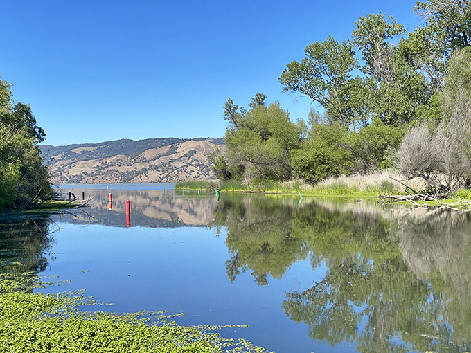 Morning stillness transforms the lake into nature's mirror, reflecting golden hills and blue skies in perfect symmetry.