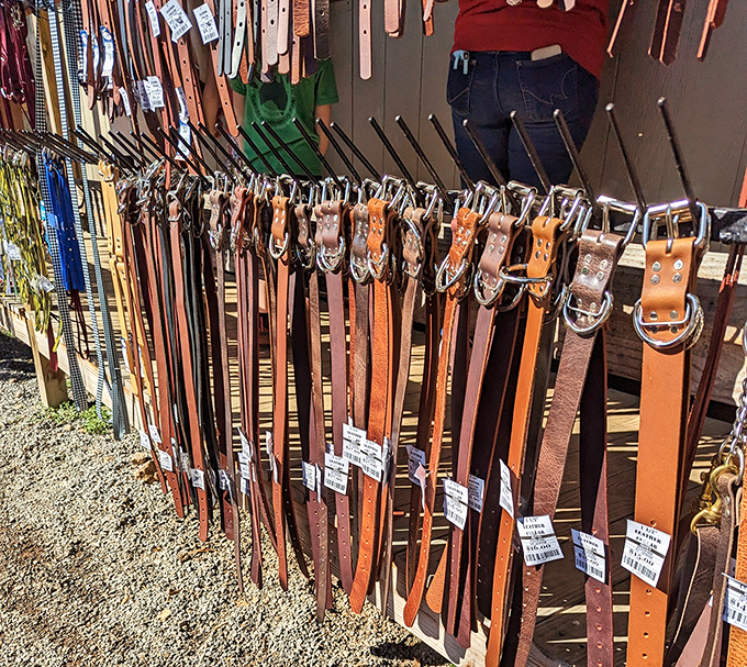 Leather belts hanging like patient sentinels. Each one waiting to perform the noble duty of keeping someone's pants exactly where they belong&mdash;a true public service.