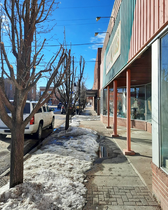 Winter sidewalks show melting snow and bare trees, the honest reality of prairie life without Instagram filters prettying things up.