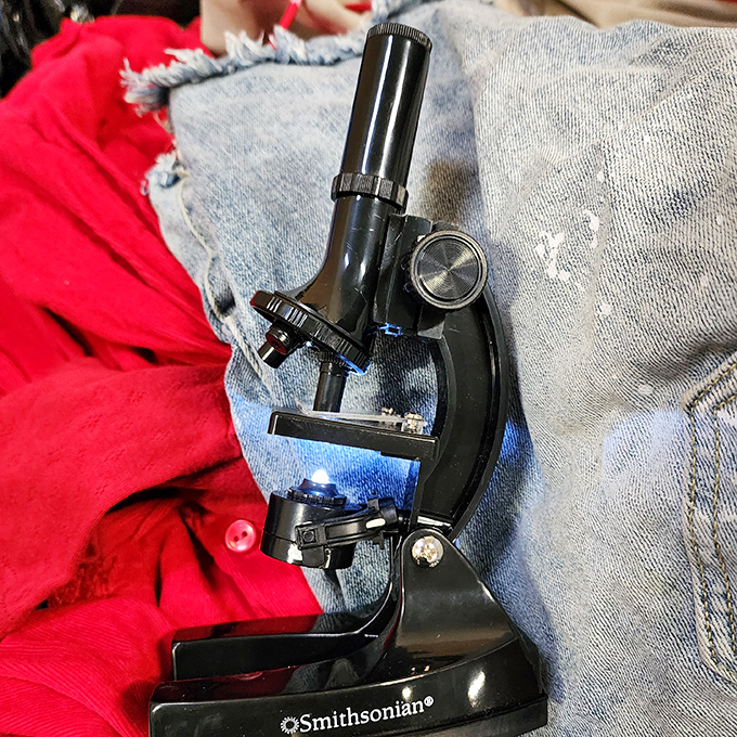 A Smithsonian microscope resting on denim &ndash; where science education meets bargain hunting in the most unexpected way.