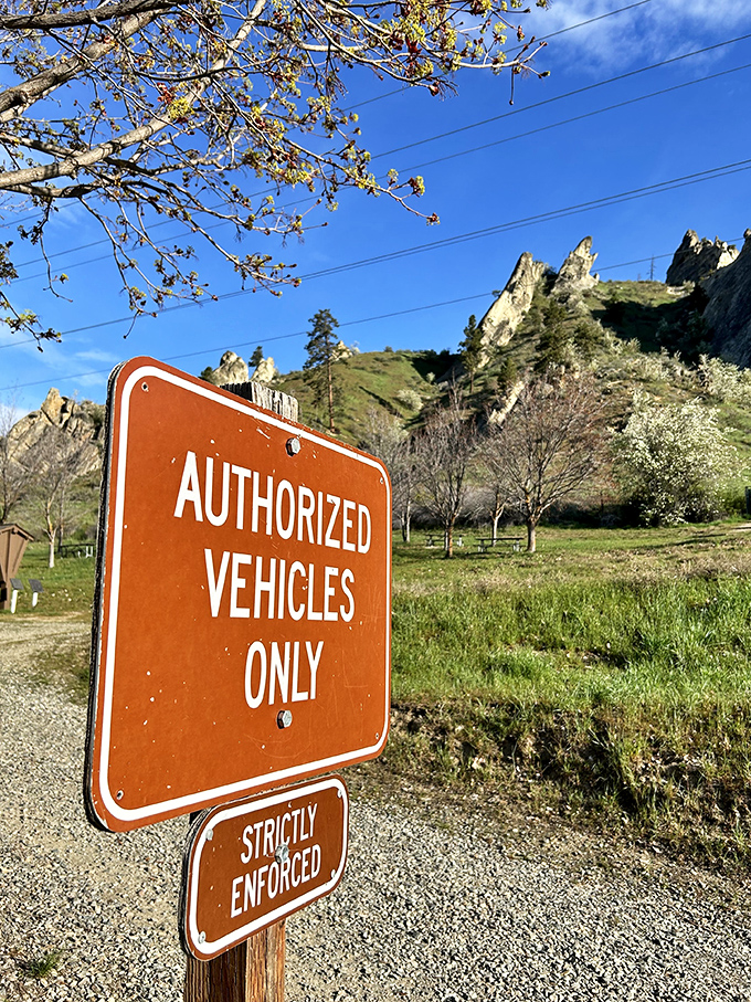 Authorized vehicles only is park-speak for "Please park and experience these wonders on foot." Your car won't mind the break. 