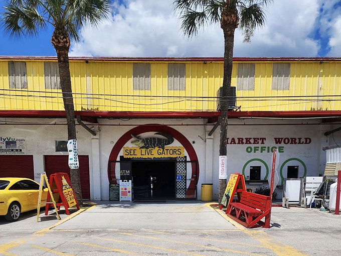 The gateway to adventure! This entrance promises visitors the quintessential Florida experience&mdash;shopping with a side of alligator viewing.