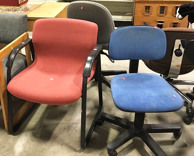 Office chairs in retirement, seeking new employment opportunities. The pink one clearly worked somewhere with a casual Friday policy.