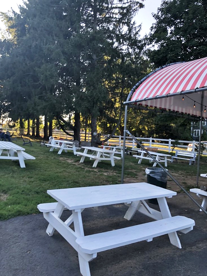 As evening approaches, the white picnic tables become front-row seats to Connecticut's most delicious sunset show.