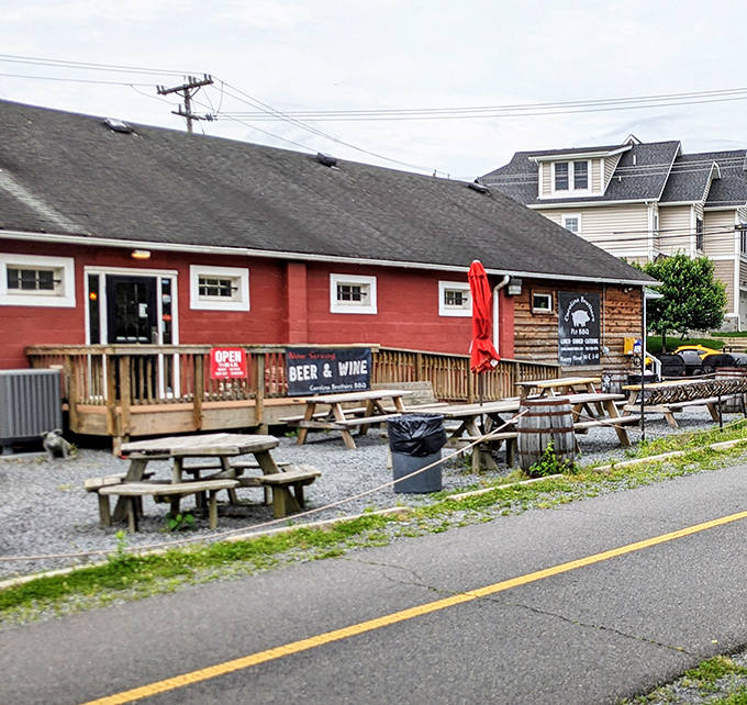 Picnic tables waiting for the next round of sauce-stained fingers and satisfied smiles. Outdoor eating as nature intended.