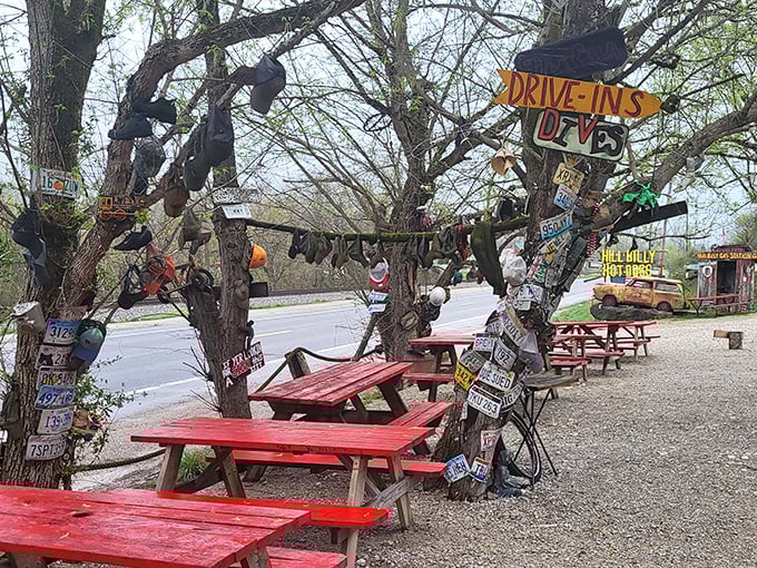 Outdoor dining where even the trees are decorated. These picnic tables have witnessed more food joy than most five-star restaurants ever will.