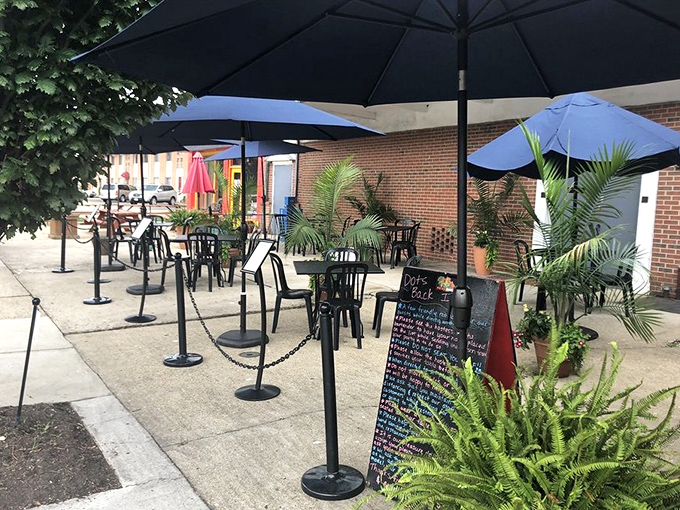 The outdoor seating area, shaded by blue umbrellas, offers an al fresco option for enjoying Dot's famous breakfast with a side of fresh air.