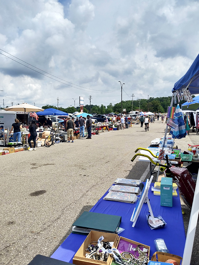 The outdoor market stretches toward the horizon, a democratic bazaar where one person's castoffs become another's prized possessions.